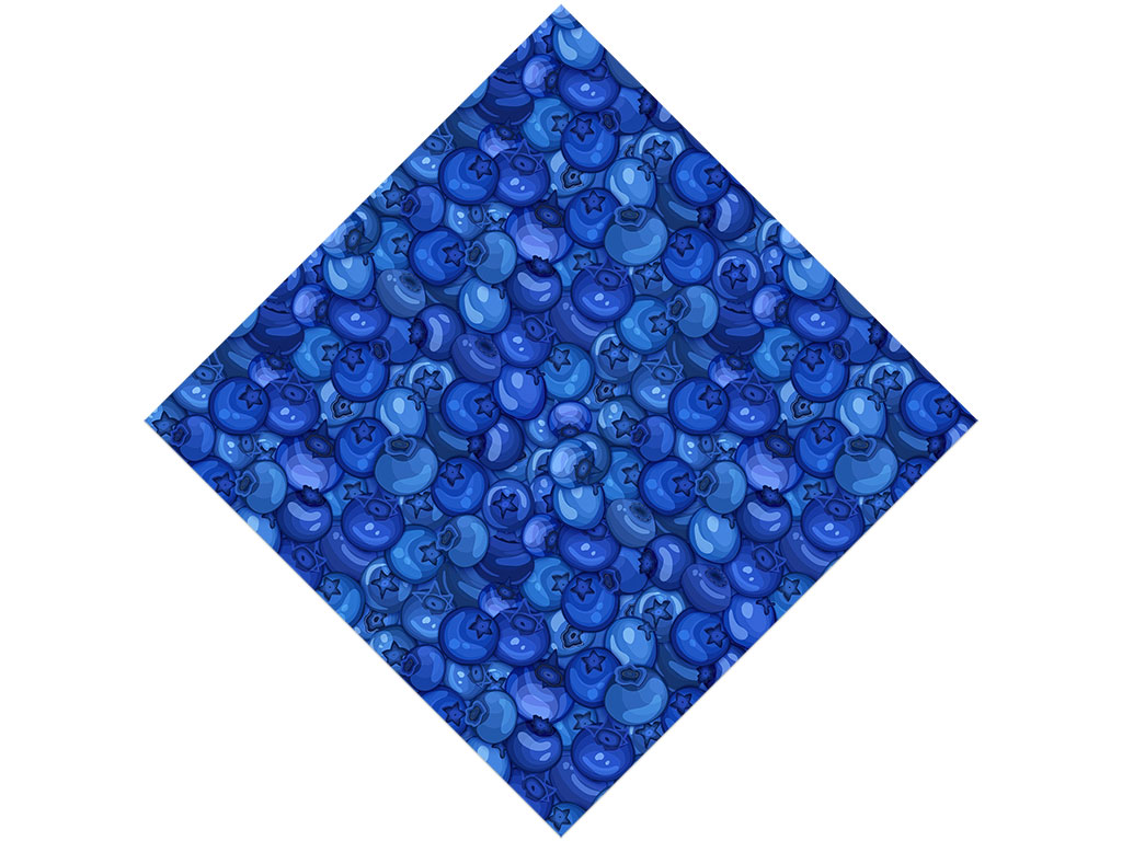 Rcraft™ Beautiful Bluecrop Blueberry Craft Vinyl | Fruit Craft Sheets ...