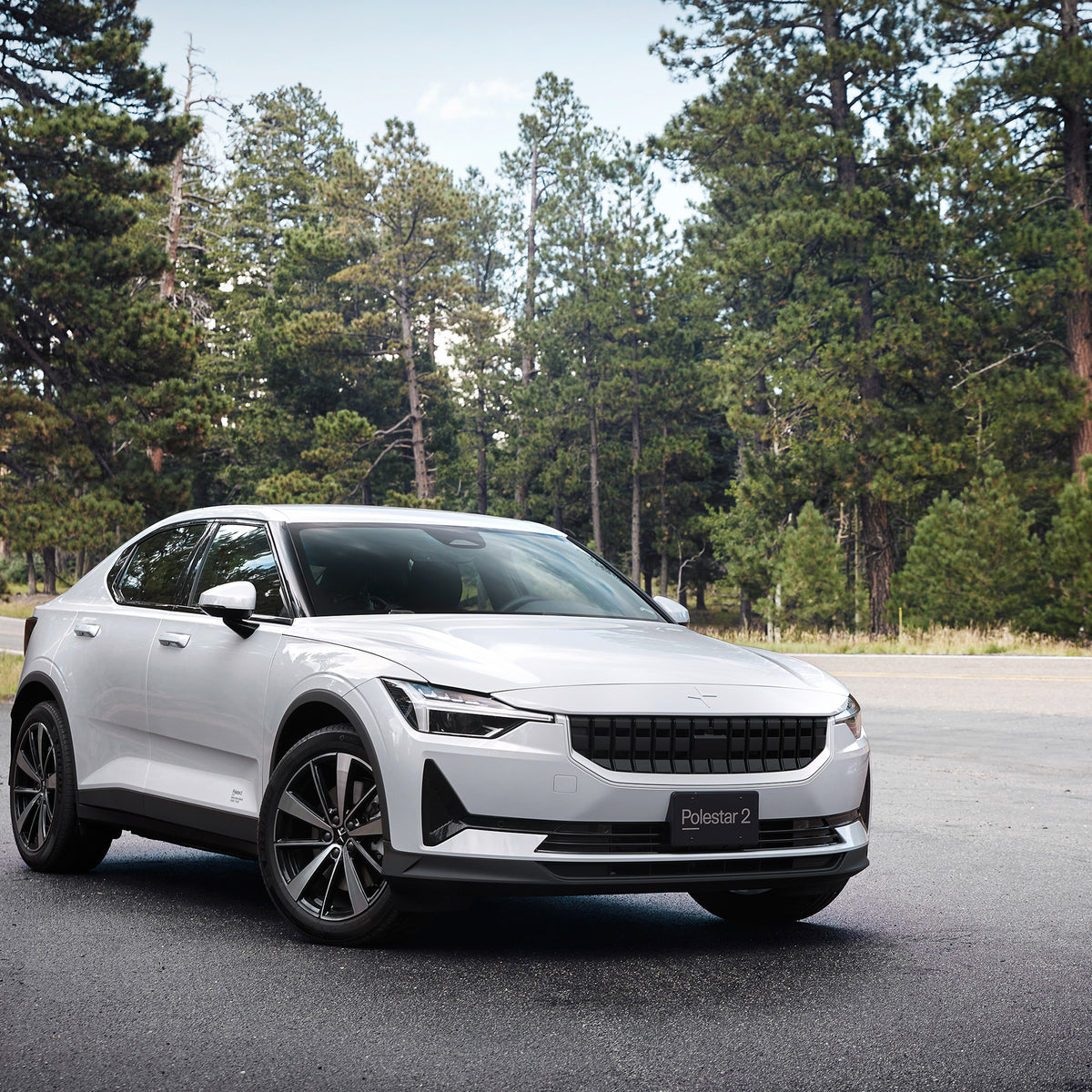 Polestar Auto Accessories – Rvinyl