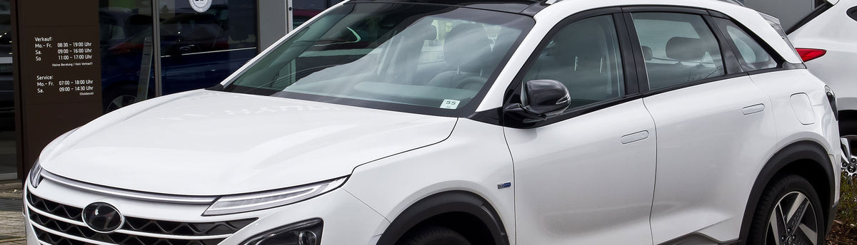 Hyundai Precut PPF | Paint Protection Film – Rvinyl