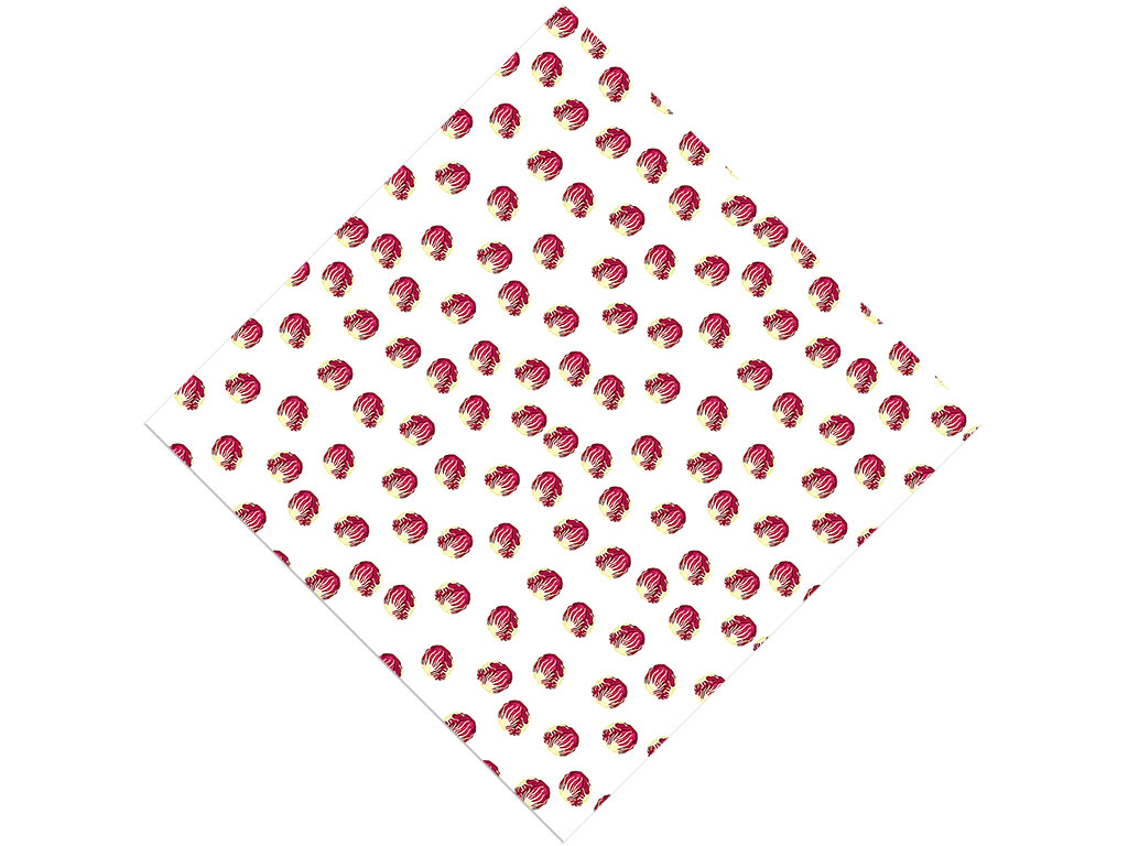 Rcraft™ Fiero Radicchio Lettuce Vegetable Craft Vinyl | Vegetable Craft ...