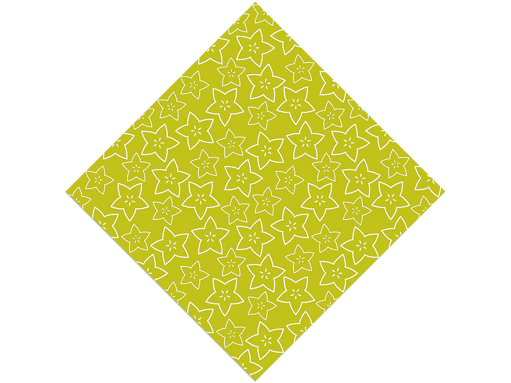 Rcraft™ Golden Star Star Fruit Craft Vinyl | Fruit Craft Sheets & Rolls ...