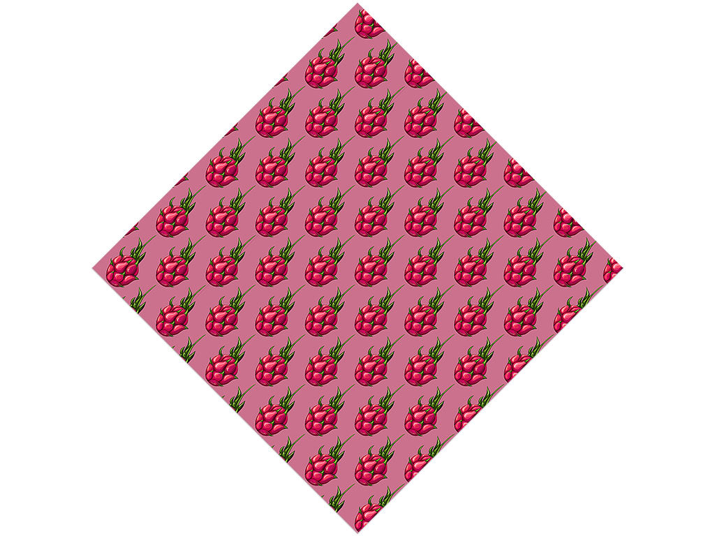 Rcraft™ Japanese Godzilla Dragon Fruit Craft Vinyl | Fruit Craft Sheets ...