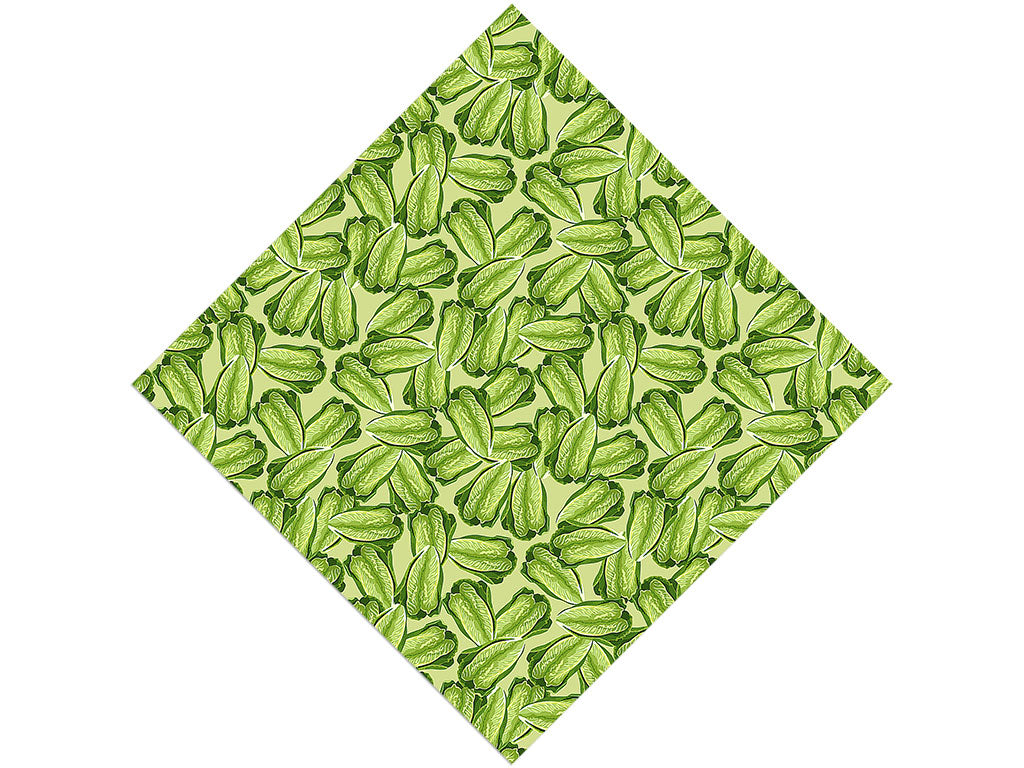 Rcraft™ Little Caesar Romaine Lettuce Vegetable Craft Vinyl | Vegetable ...