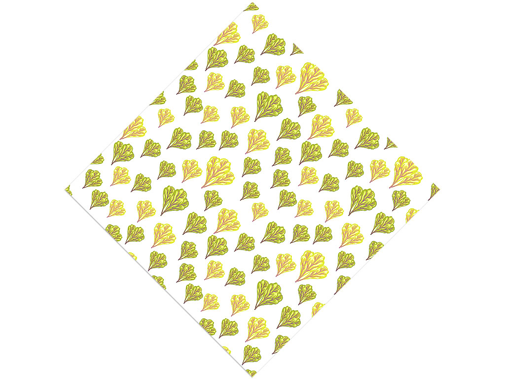 Rcraft™ Manly Mangold Lettuce Vegetable Craft Vinyl | Vegetable Craft ...