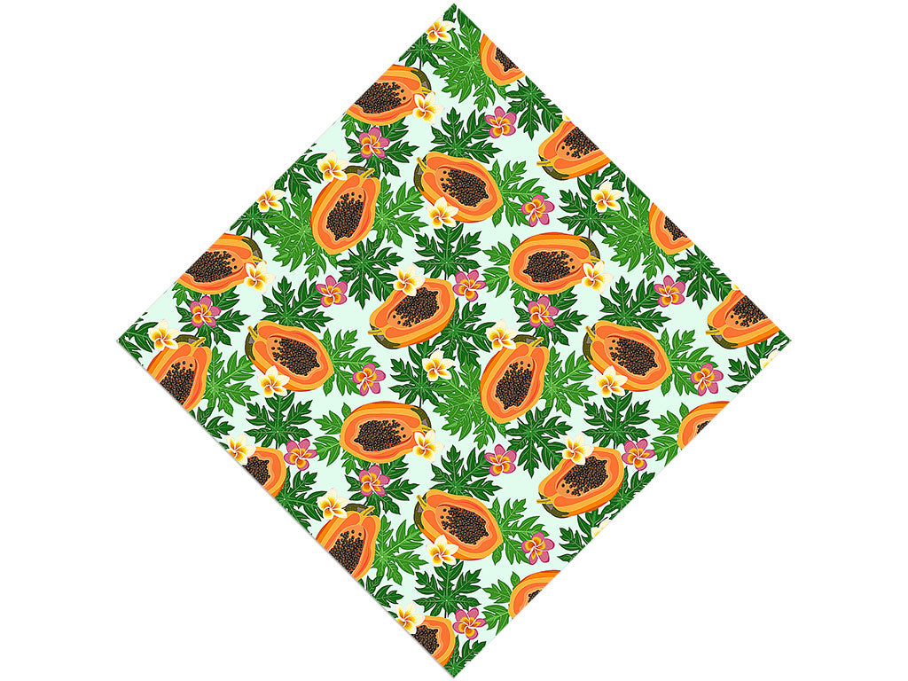 Rcraft™ Maradol Papaya Craft Vinyl | Fruit Craft Sheets & Rolls – Rvinyl
