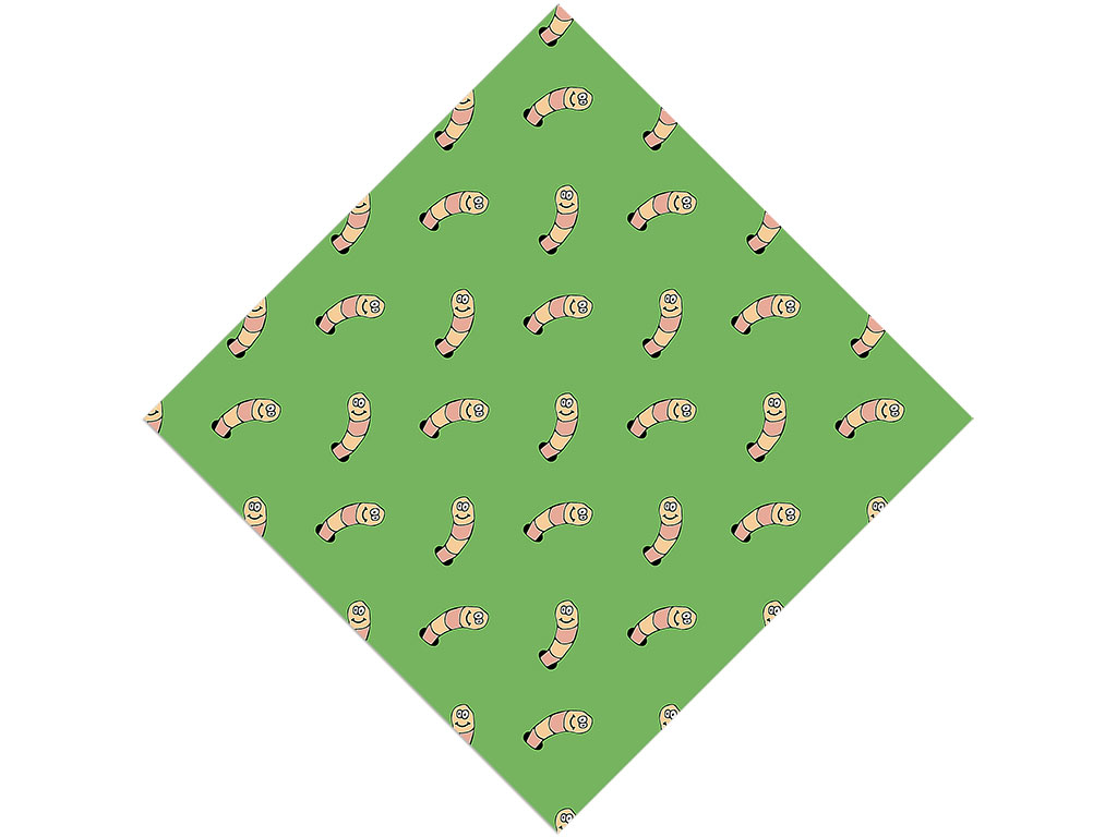 Rcraft™ Peek-A-Boo Worm Craft Vinyl | Bug Craft Sheets & Rolls – Rvinyl