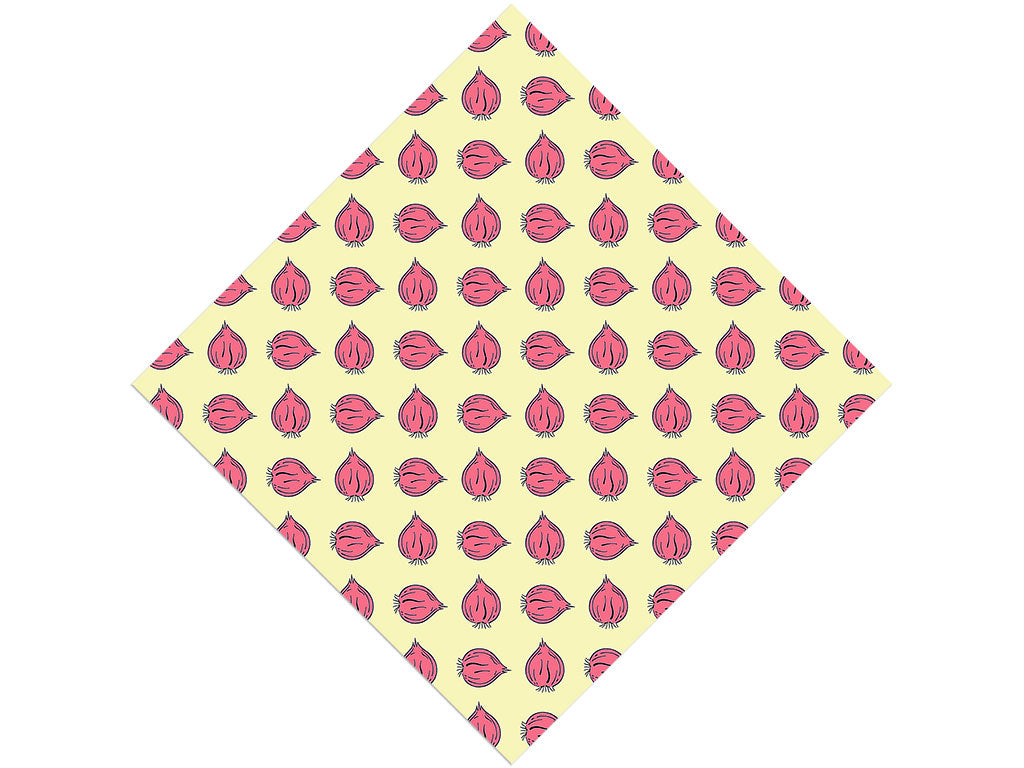 Rcraft™ Red Baron Onion Vegetable Craft Vinyl | Vegetable Craft Sheets ...