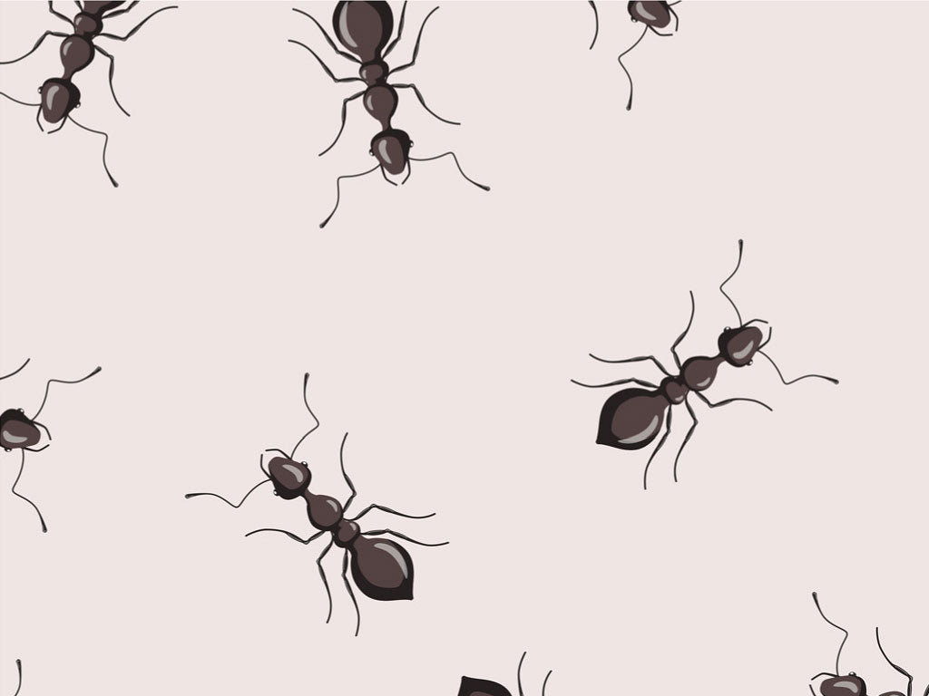 Rwraps™ Smooth Operator Ant Vinyl Wrap | Bug Print Car Wrap Film – Rvinyl