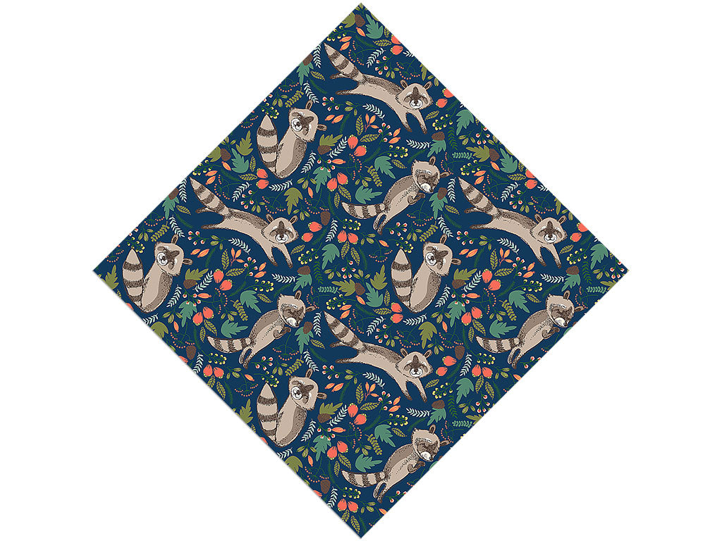 Rcraft™ Sneaky Sneaky Raccoons Craft Vinyl | Animal Craft Sheets ...